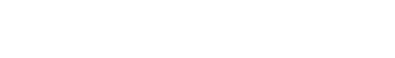 Natashaギター - Natashaギタージャパン公式サイト