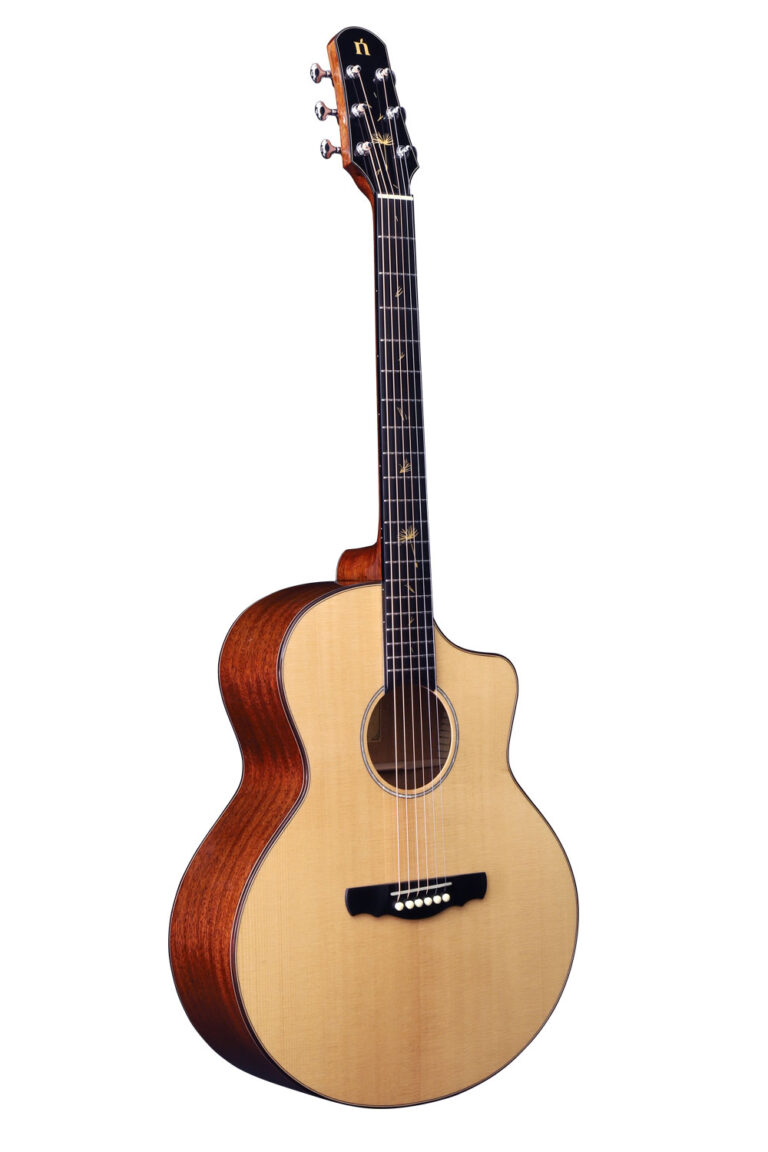 Product 2025 – Natashaギター